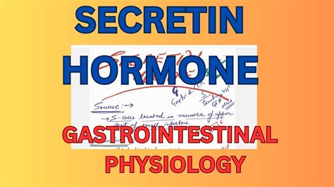 Secretin Hormone Gastrointestinal Hormone Youtube