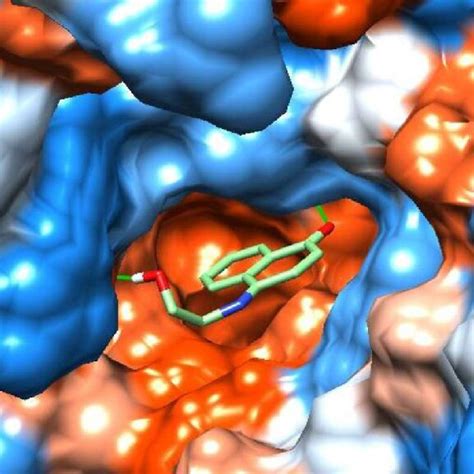 Ligand Naphtaquinone Ethanolamine 2xir Complex Download Scientific