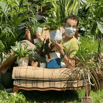 4 Cosas Que Debes Saber Para Cuidar Tus Plantas Enviaflores