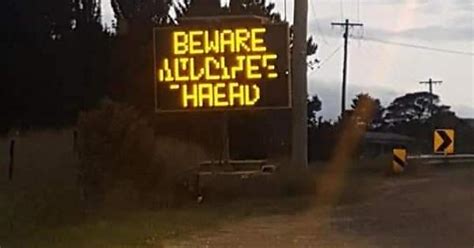 Foreboding Signs Album On Imgur