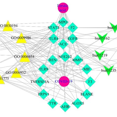 Detailing The Intersection Association Of Download Scientific Diagram