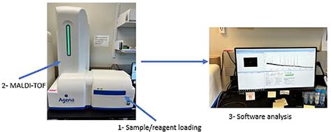 Table 1 From Performance Of Massarray System For The Detection Of Sars Cov 2 Compared To Real