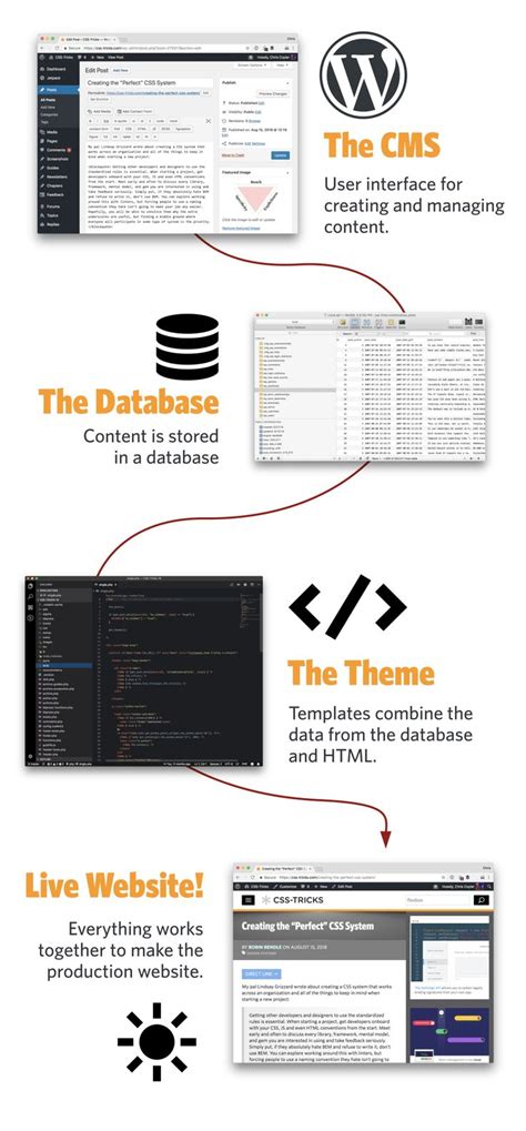 Helping A Beginner Understand Getting A Website Live Css Tricks
