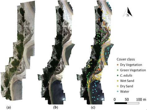 Remote Sensing Mdpi On Linkedin Multispectral Uas Biomass Carpobrotusedulis