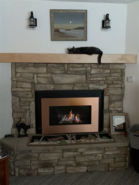 Graycie Chooses Coziest Spot R Cozyplaces