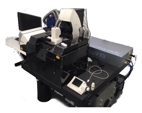 Two Photon Microscope Ivif In Vivo Imaging Facility University Of