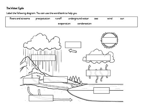 Explore The Water Cycle With Engaging Diagram Worksheets
