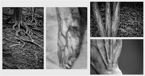 Similarities And Differences Photography