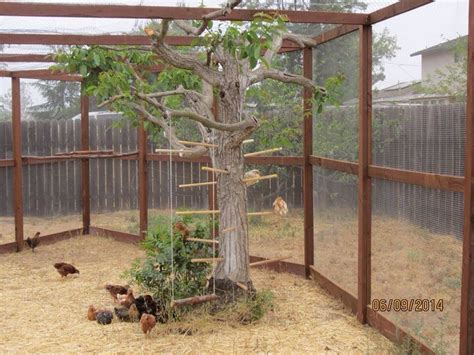 Love This For A Chicken Run Very Cool Treeplay Area Chicken Garden
