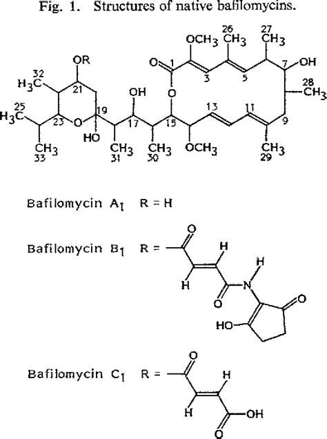 Figure 1 From Chemical Modifications Of Bafilomycin Type 16 Membered