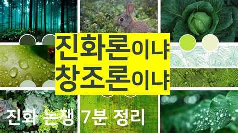 진화론이냐 창조론이냐ㅣ창조 진화 논쟁 7분 정리 Youtube