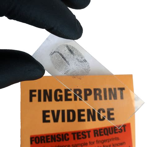 Forensic Science Kit The Missy Hammond Murder Crime Scene Forensic