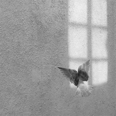 Citations Layla Hamdan د ليلى حمدان