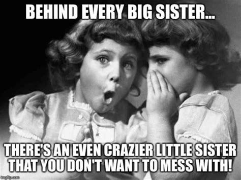 Annoying Little Sister Quotes