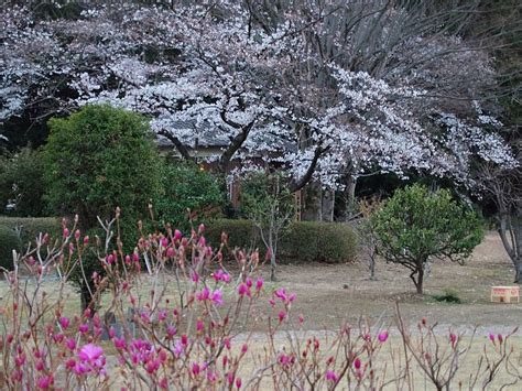 ダイエットの一番の敵は『夫』？？ Cocoだけの話