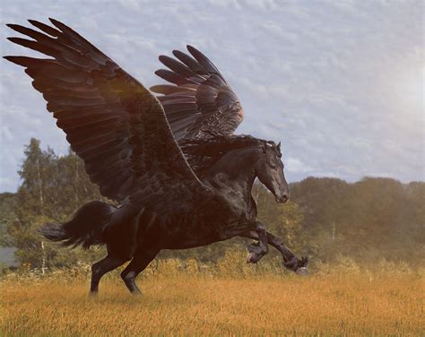 Realistic Black Pegasus