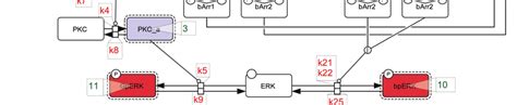 Figure S9 Celldesigner Representation Of The Network Structure As