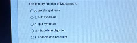 Solved The Primary Function Of Lysosomes Isa ﻿protein
