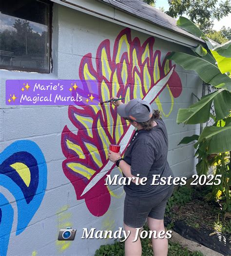 Pixie Mamas Rescue We Have A Couple Kittens Dusty Is Available For