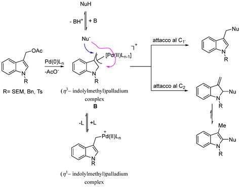 Palladium Catalyzed Tsuji Trost Type Reaction Of 3