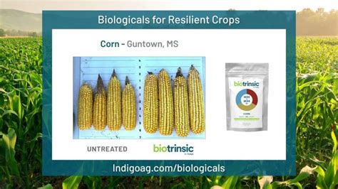 Seeing Is Believing With Biotrinsic® Eric Bartels