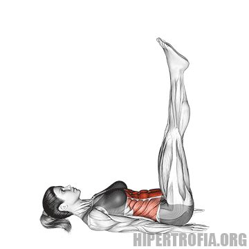Como Fazer Abdominal Infra Em Casa