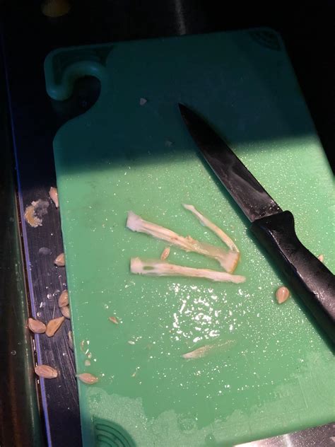 What Do You Fortune 300 Guys Do With The Piths After You Cut Them Out