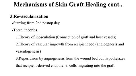 Skin Graft 24pptx