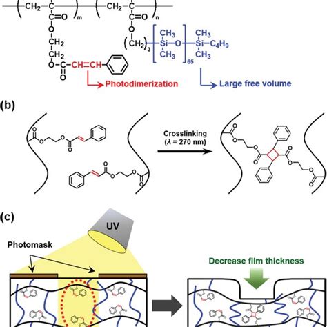 A Chemical Structure Of A Photoresponsive Polymer And B Download Scientific Diagram