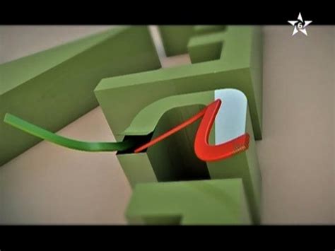 Assadissa Ident Tvark