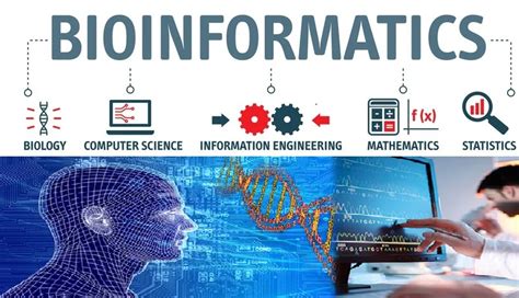 unlocking life s mysteries the power of bioinformatics