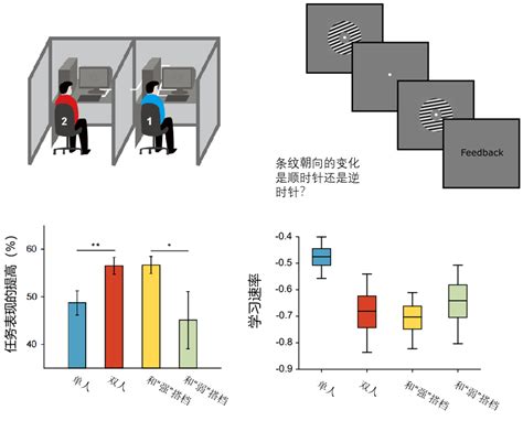 方方课题组在《current Biology》合作发表题为 Dyadic Visual Perceptual Learning On
