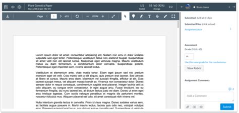 canvas grading an assignment · alludo