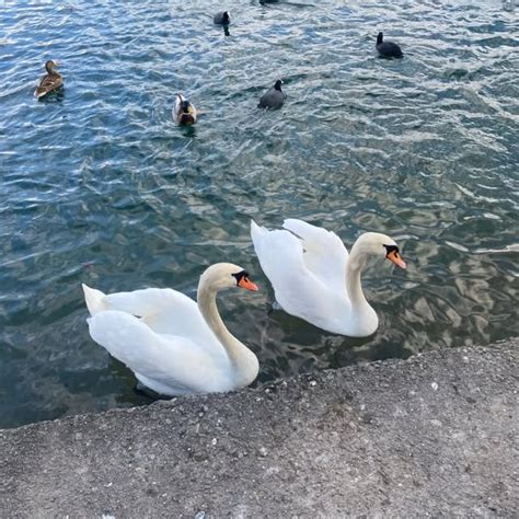 Isuf • Threads Say More