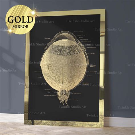 Eye Anatomy Art Ophthalmology Art Optician T Medical Art Optometric Art Eye Diagram Doctor