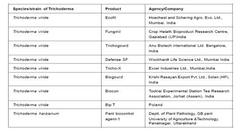 Trichoderma Ppt Pptx