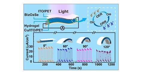 Flexible Self Powered Photoelectrochemical Photodetectors Based On Cellulose Based Hydrogel