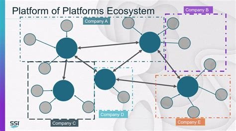 Architecture For The Digital Twin Ecosystem Ssi