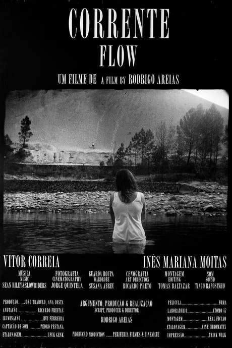 Flow 2008 Full Movie Summary And Plot Explained