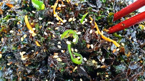 지금 떠오르는 그 맛 🤩자반 무침🤩집에서 뚝딱 만들어 보세요 촉촉한 김자반무침 자반김무침 돌자반무침 레시피 Youtube