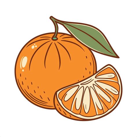 Clementina Fruta Arte Ilustración 55489860 Vector En Vecteezy