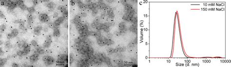 Encapsulation Of Polymer Coated Gnps Bearing Amine Functional Groups
