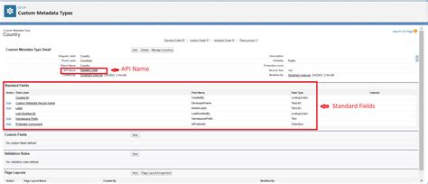 Custom Metadata Types In Salesforce Let Create An App