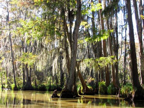 Secrets Of Louisiana's Toledo Bend | TouristSecrets