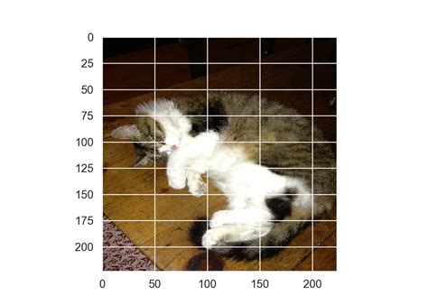 Using Pretrained Cnn Models