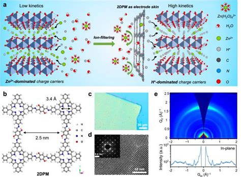 Proton Selective Coating Enables Fast Kinetics High Mass Loading