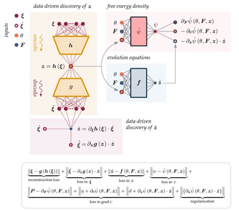 Evolution Tann For The Data Driven Discovery Of Internal Variables And Download Scientific
