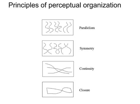 lecture 17 grouping and segmentation vision spring2017 pptx