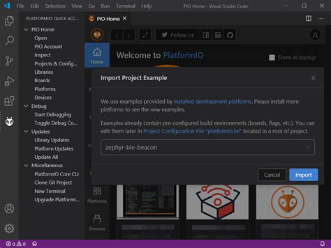 enabling platformio and zephyr on custom hardware zephyr project