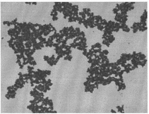 Kit For Separating Genome Dna By Using Magnetic Balls And Application Thereof Eureka Patsnap